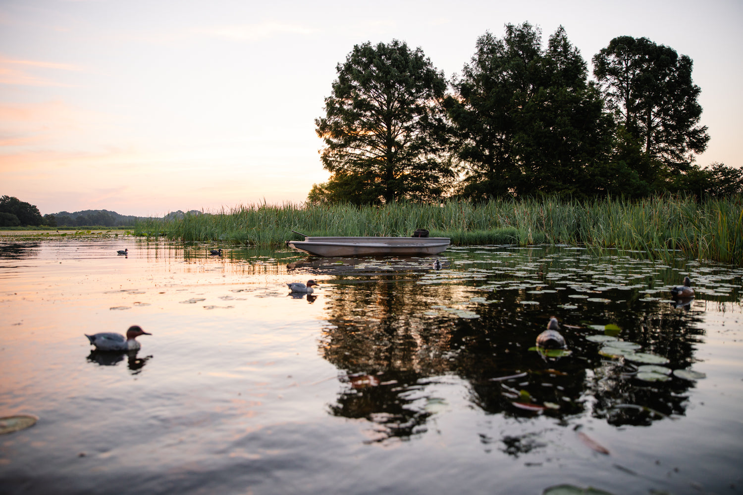 Contact – Water Feather